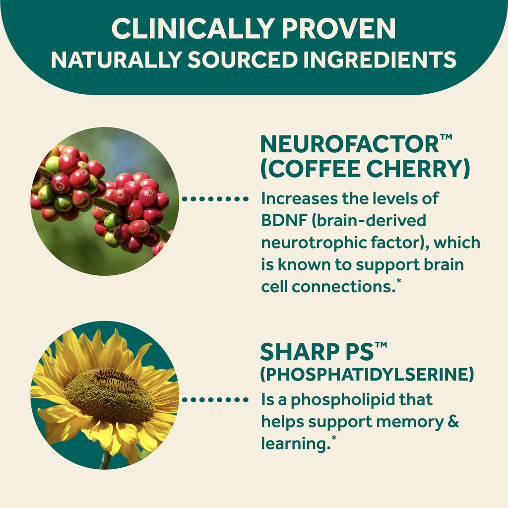 NEURIVA Original Brain Performance, Brain Support Supplement, 30 Capsu ...