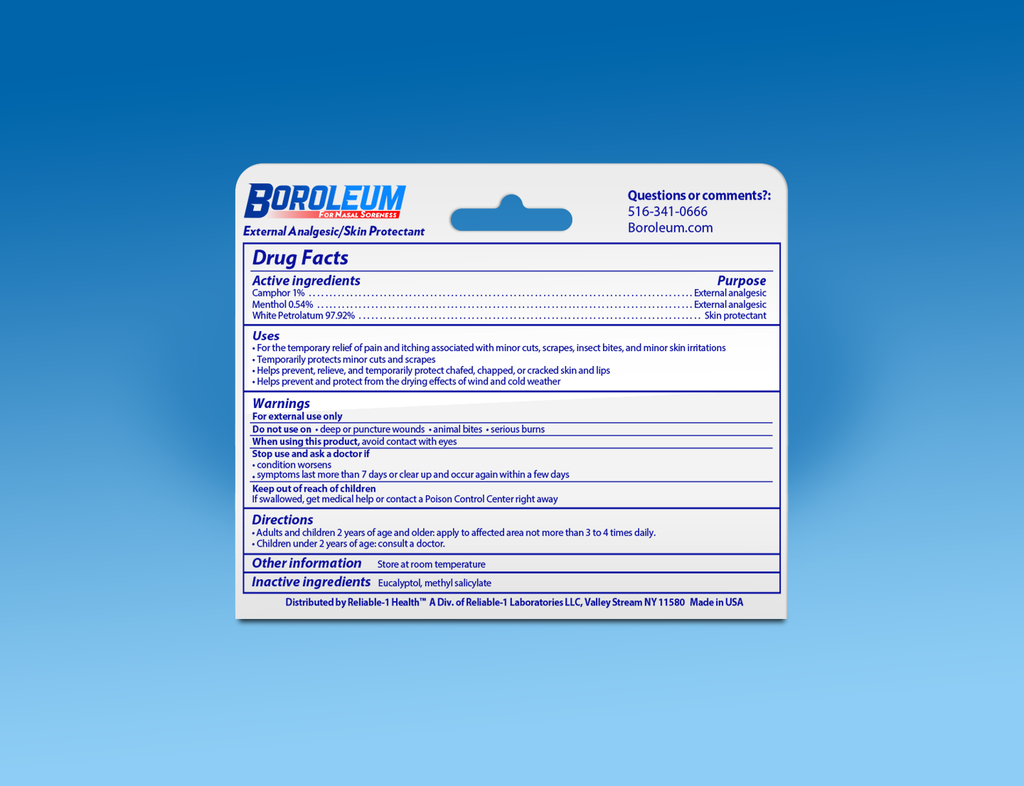 Boroleum Nasal Soreness Ointment - Camphor & Menthol - 0.6 oz | Silver ...